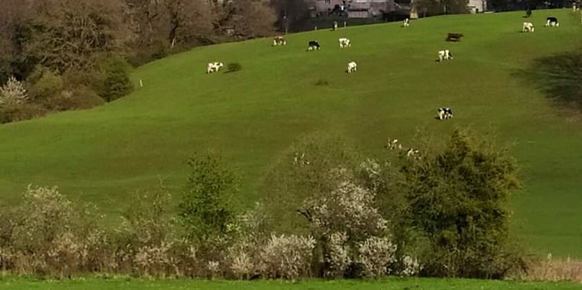 Site officiel de la commune d'Aiglemont